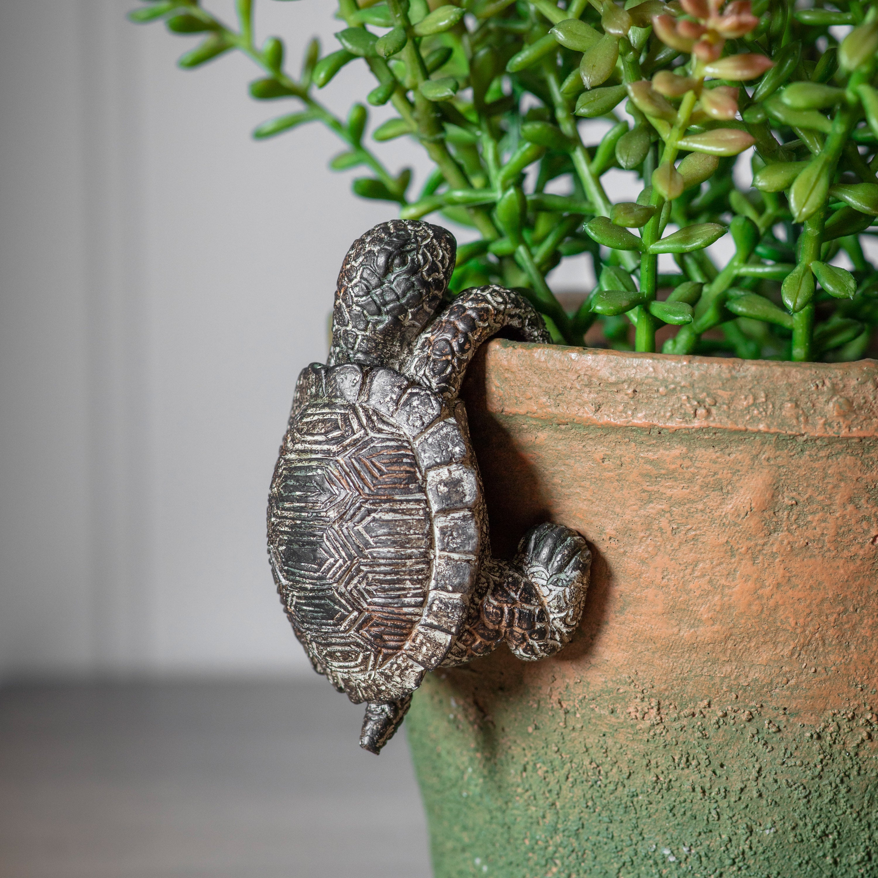 Winston Tortoise Pot Hanger | Natural | Pack of 2 | Knees.co.uk – Knees ...