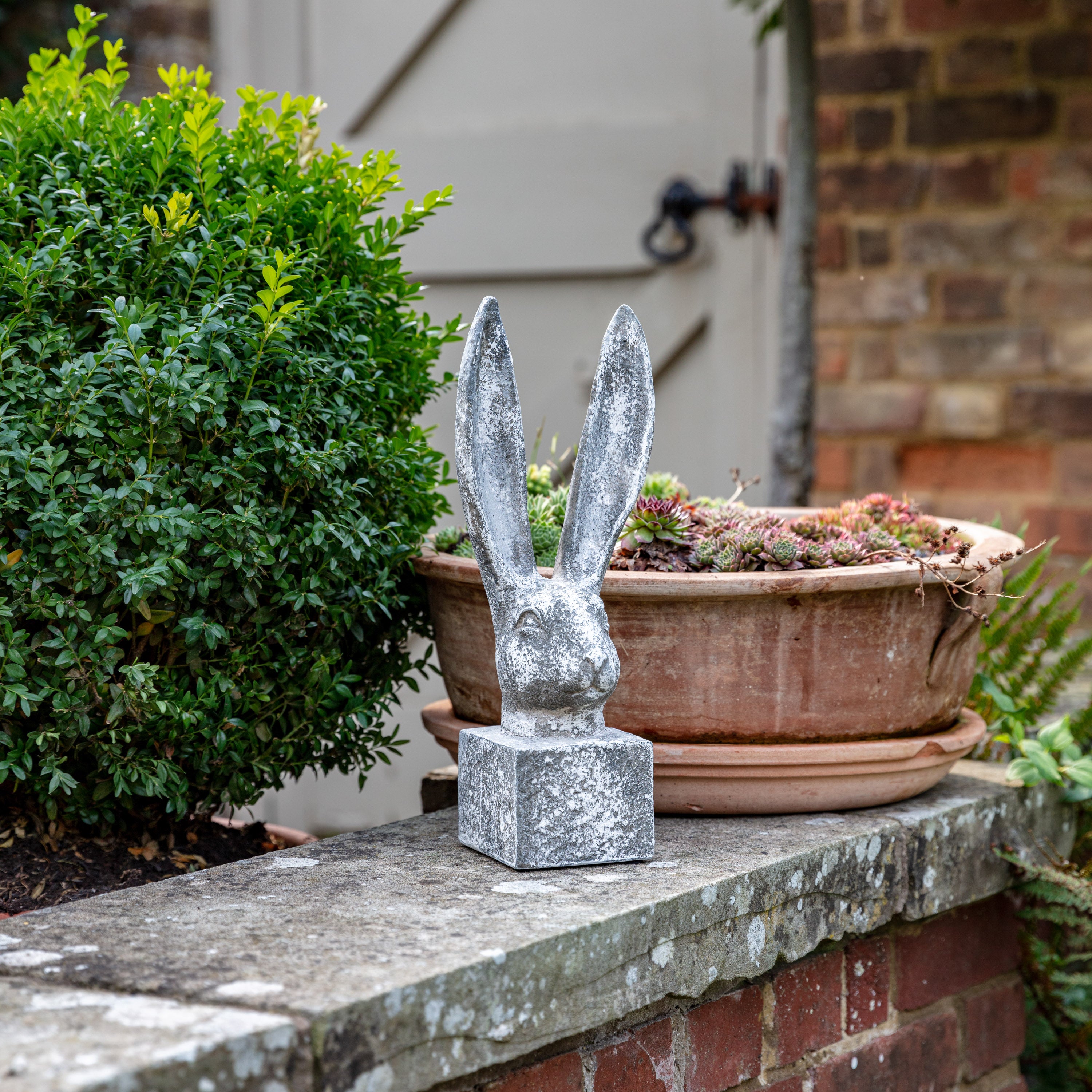 Harry Hare | Large | Knees.co.uk – Knees Home and Electrical